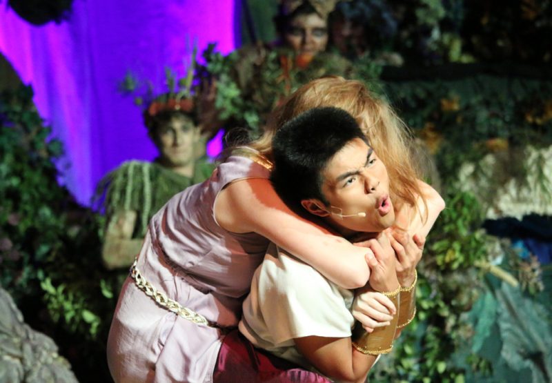 'A Midsummer Night's Dream' || A High Spirited Spectacle Presented by ...